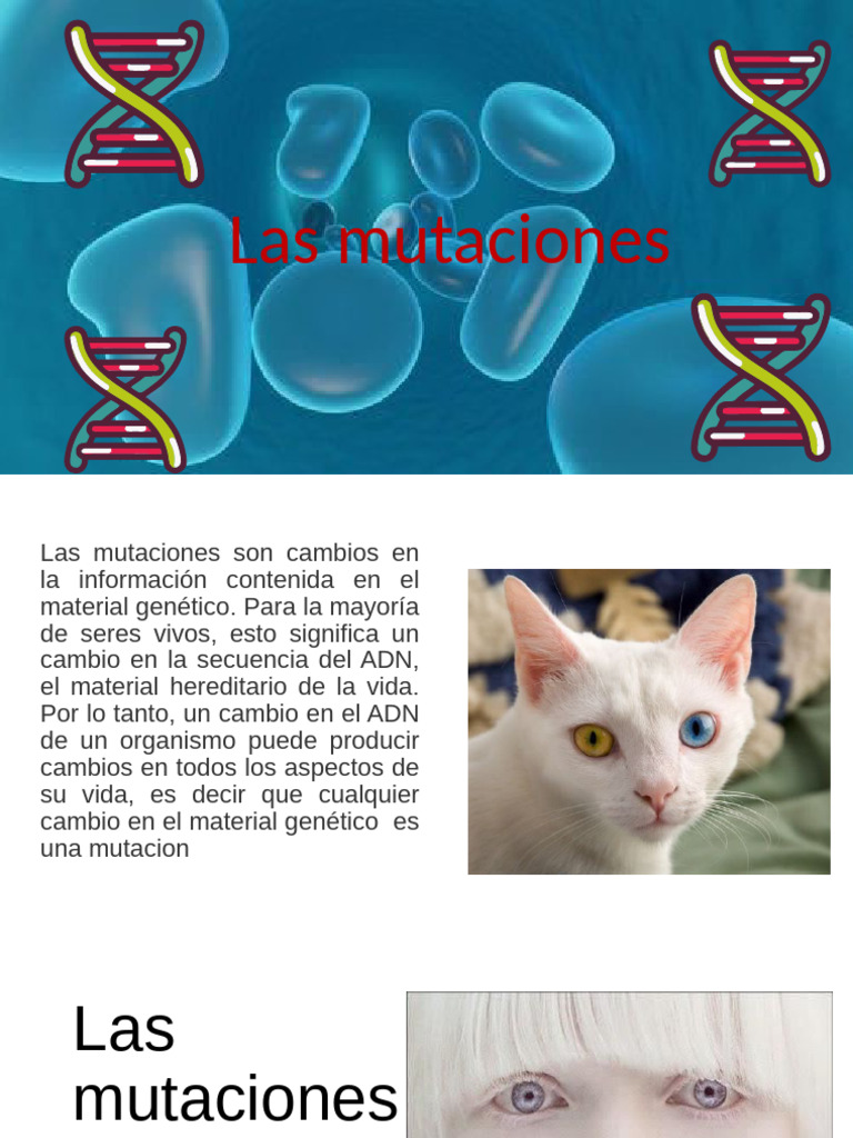 Las Mutaciones | PDF
