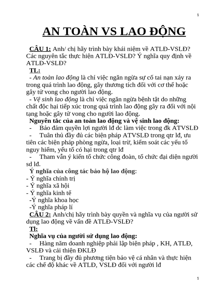 An Toan Lao Dong 218 | PDF