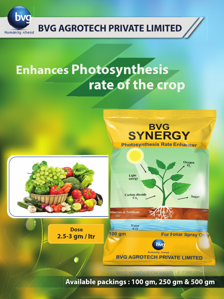 Bvg Synergy Leaflet | PDF