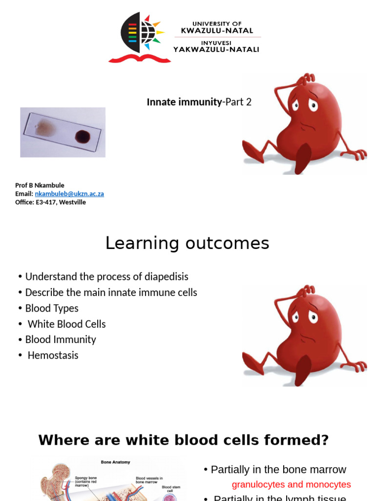 Innate Immunity 2 (6)_8cd201773da8bd3f50c002ad9751debd | PDF | White ...