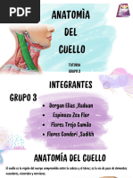 Anatomía del Cuello: Guía Completa | PDF | Laringe | Tiroides