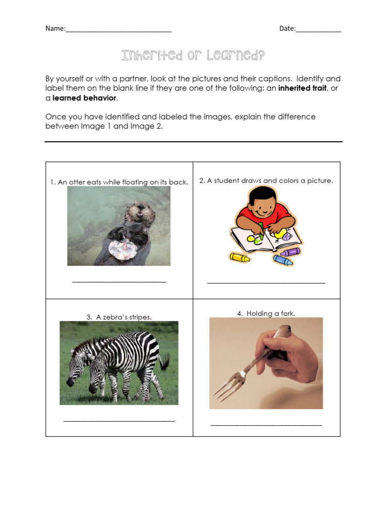 Inherited or Learned? | PDF | Predation | Zoology