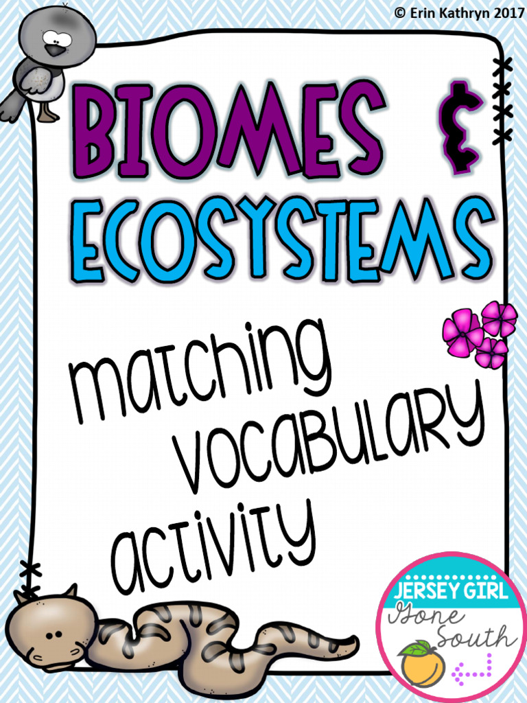 Weather and Ecosystem Vocabulary Cards | PDF | Ecosystem | Copyright