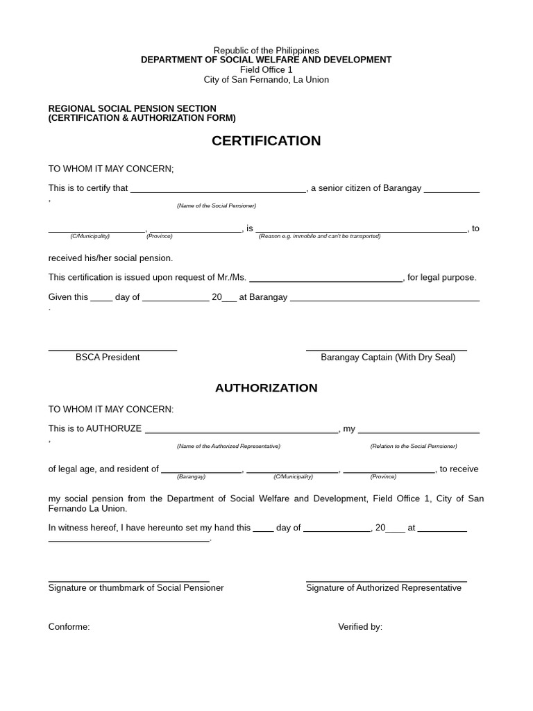 Authorization Letter Form For DSW | PDF