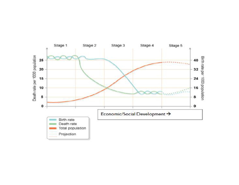 Demographic Transition Model | PDF