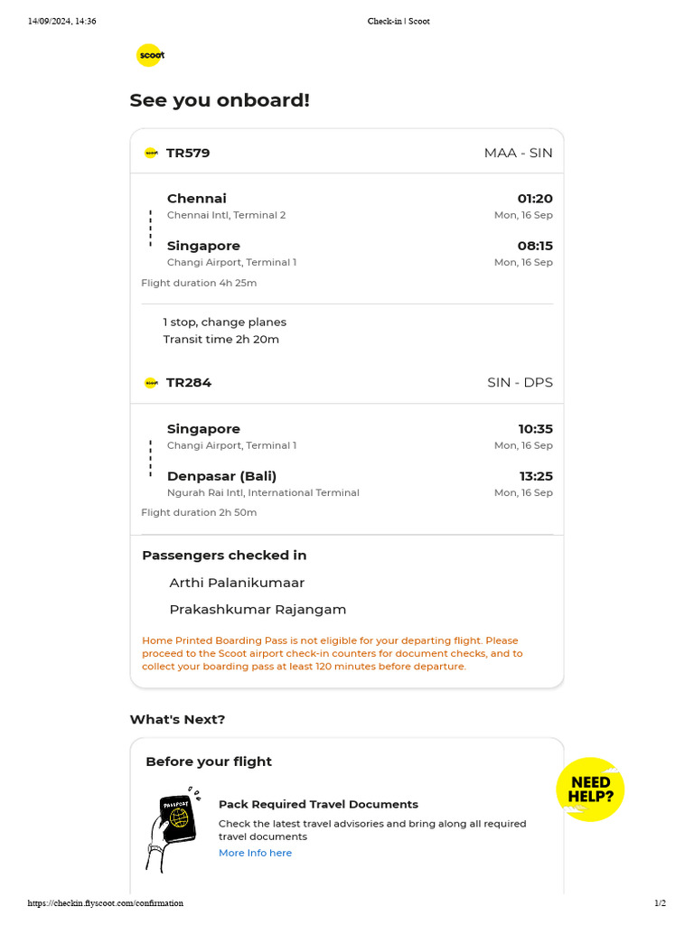 Check-in _ Scoot | PDF | Aviation