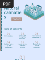 Intensity and Magnitude | PDF | Earthquakes | Seismology