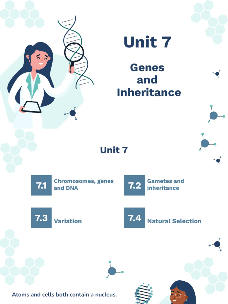 Unit 7.1 Chromosomes, Genes and DNA | PDF | Chromosome | Gene