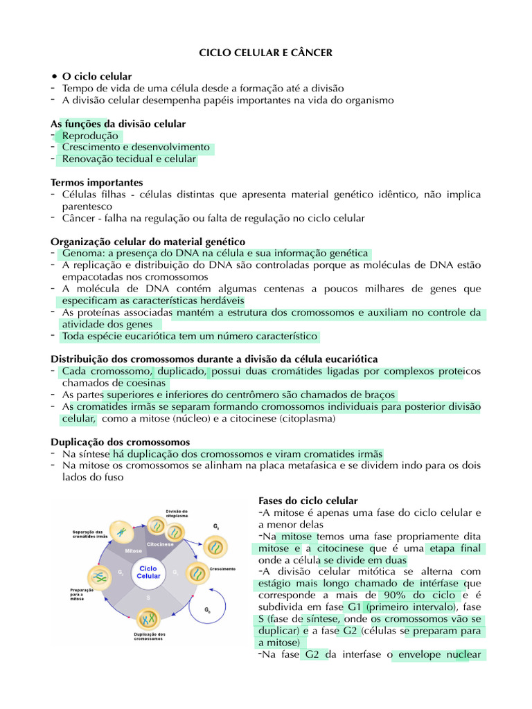 Ciclo celular e câncer | PDF | Mitose | Célula (Biologia)