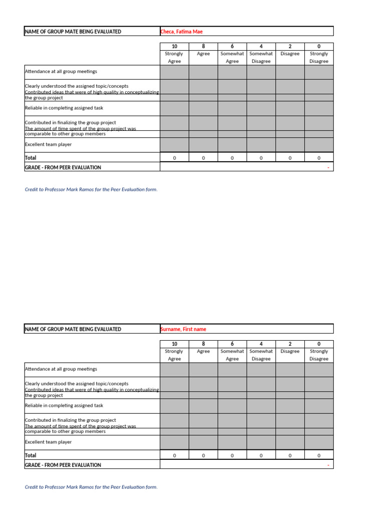 Fdnacct Group+Project+ +Peer+Evaluation+Form | PDF | Cognition