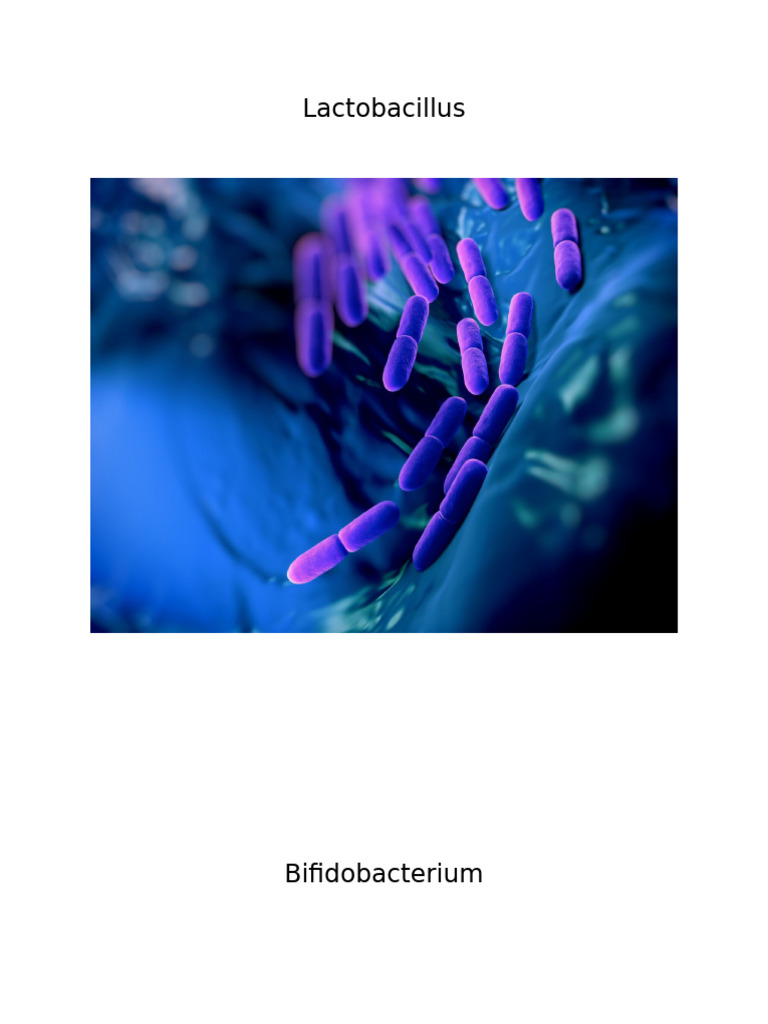 Bacteria | PDF
