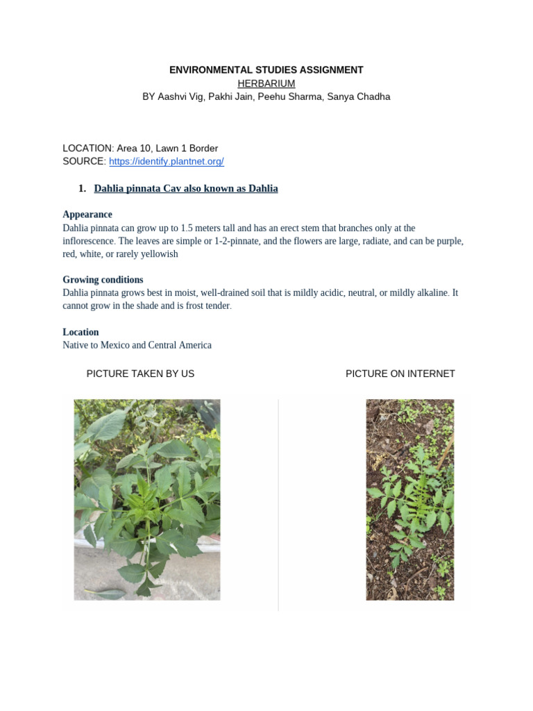 Herbarium Plant Study Assignment | PDF | Pomegranate | Plants
