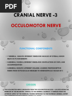 Mnemonic For Eye | PDF