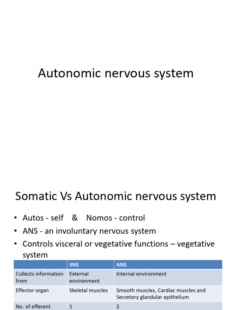 Autonomic Nervous System | PDF | Autonomic Nervous System | Acetylcholine