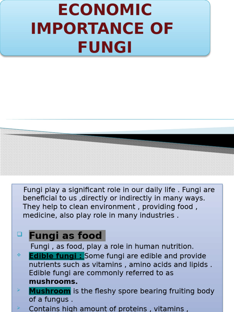 ECONOMIC_IMPORTANCE_OF_FUNGI[1] | PDF | Fungus | Decomposition
