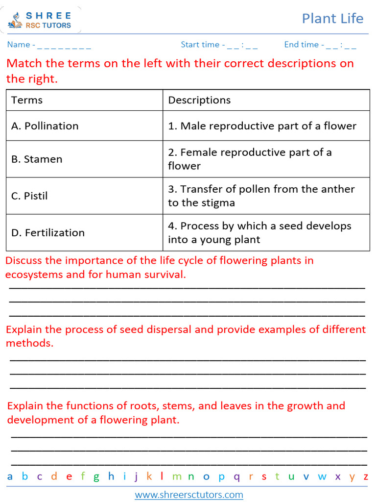 Flowering Plant Life Cycle for Grade 5 | PDF