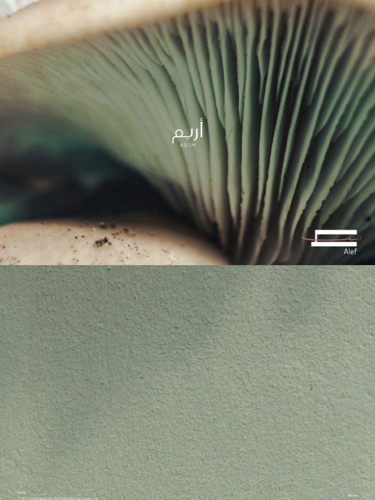 Arim-Brochure-Hayyan-by-Alef 2023 | PDF