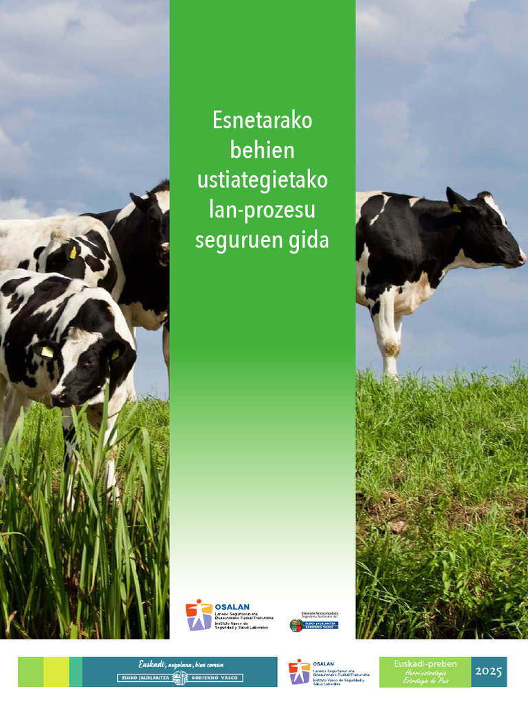 behi_ustiategiak | PDF