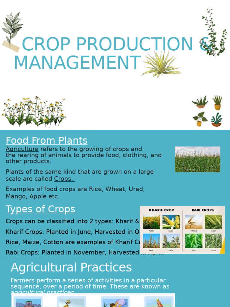 Crop Production & Management | PDF