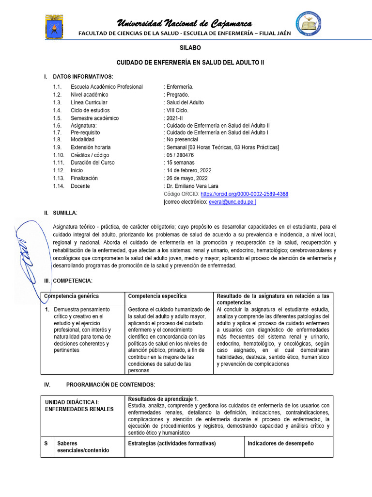 Sylabus Cuidado Del Adulto Ii | PDF | Enfermería | Reporte de un caso