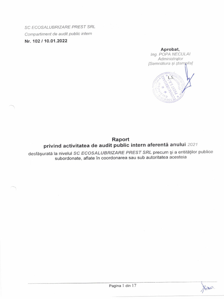 Raport Audit Public Intern An 2021 | PDF