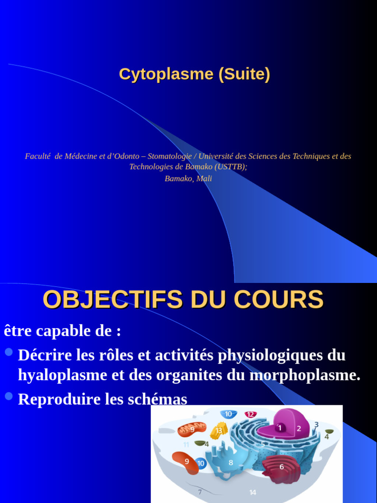 Rôles et Structure du Cytosquelette Cellulaire | PDF | Cytosquelette ...