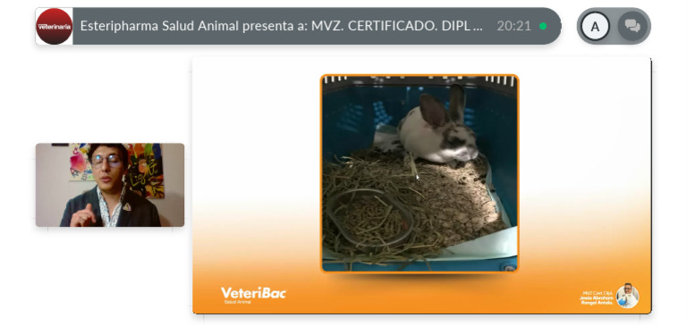 Esteripharma Salud Animal Presenta A MVZ. CERT. 12 | PDF
