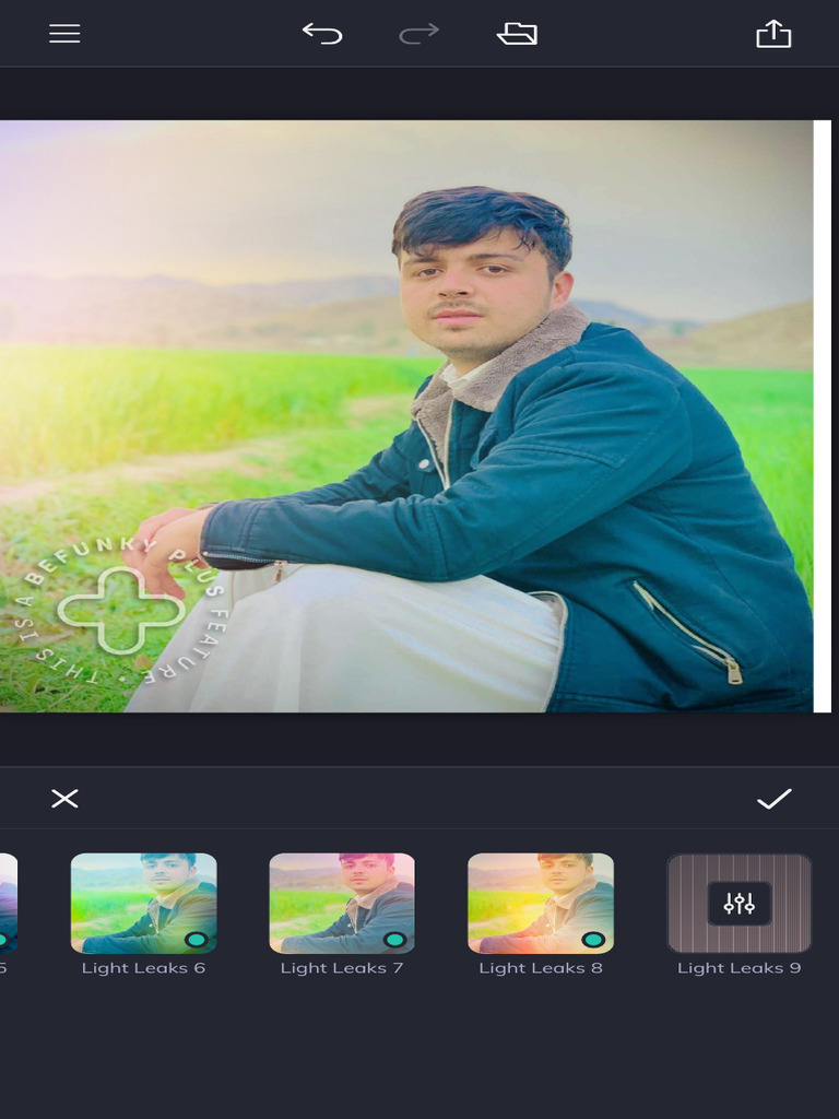 Photo Editor BeFunky | PDF