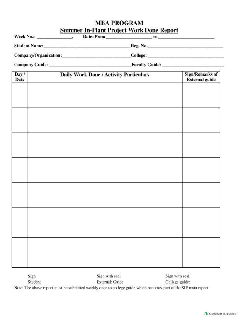 Internship Weekly Report Format | PDF