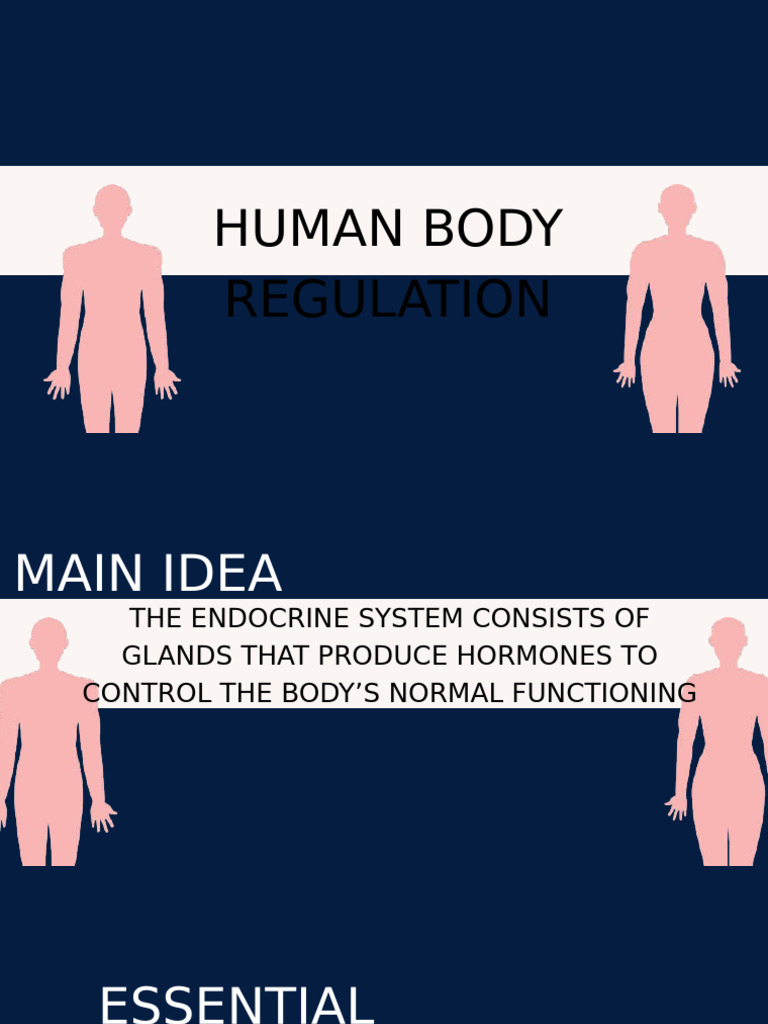 Dark Blue Pink Human Body Organs Presentation | PDF | Hormone | Human Body