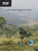 Descriptive Writing: Forest Imagery Guide | PDF | Odor | Plants
