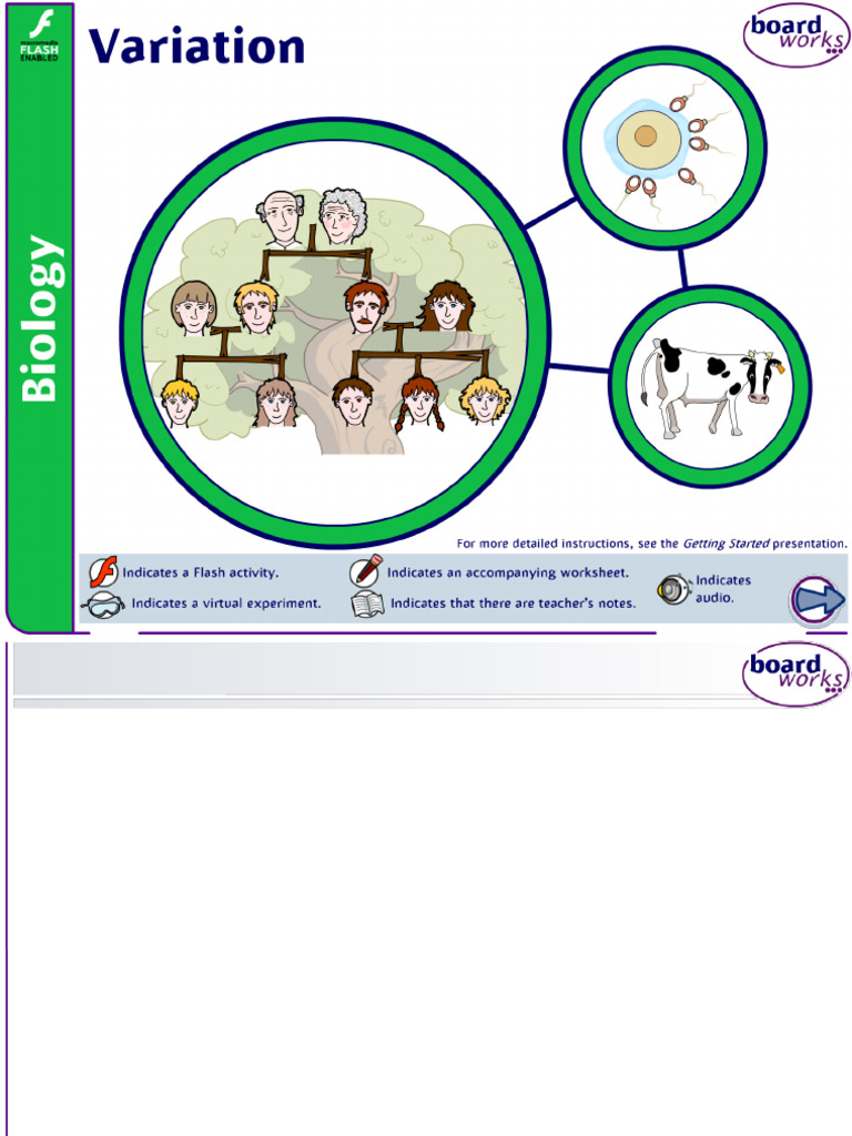 Adaptation and Variation Guide | PDF | Natural Selection | Selective ...