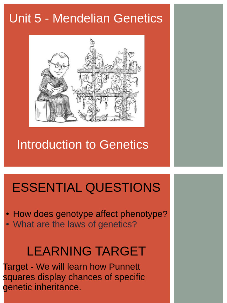 Introduction To Genetics | PDF | Genotype | Dominance (Genetics)