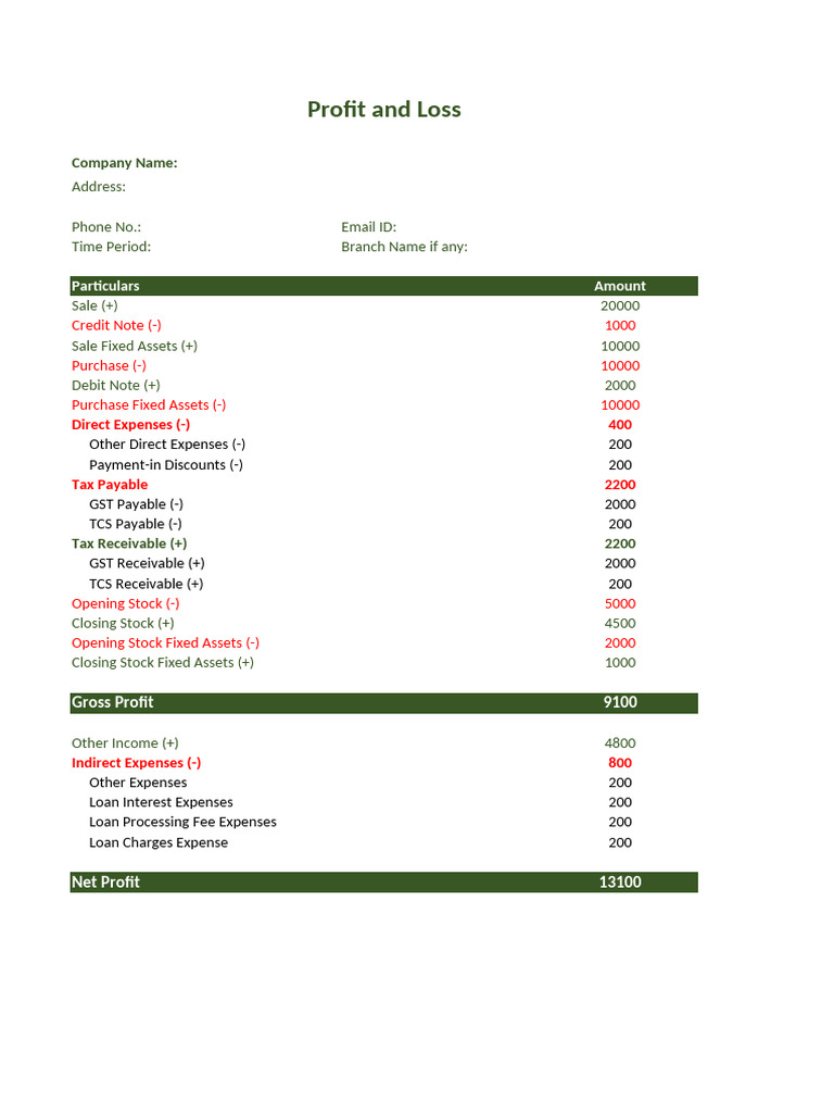 Profit and Loss Account Format 01 | PDF