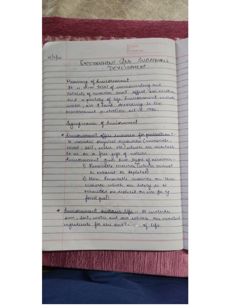 Environment and Sustainable Development | PDF
