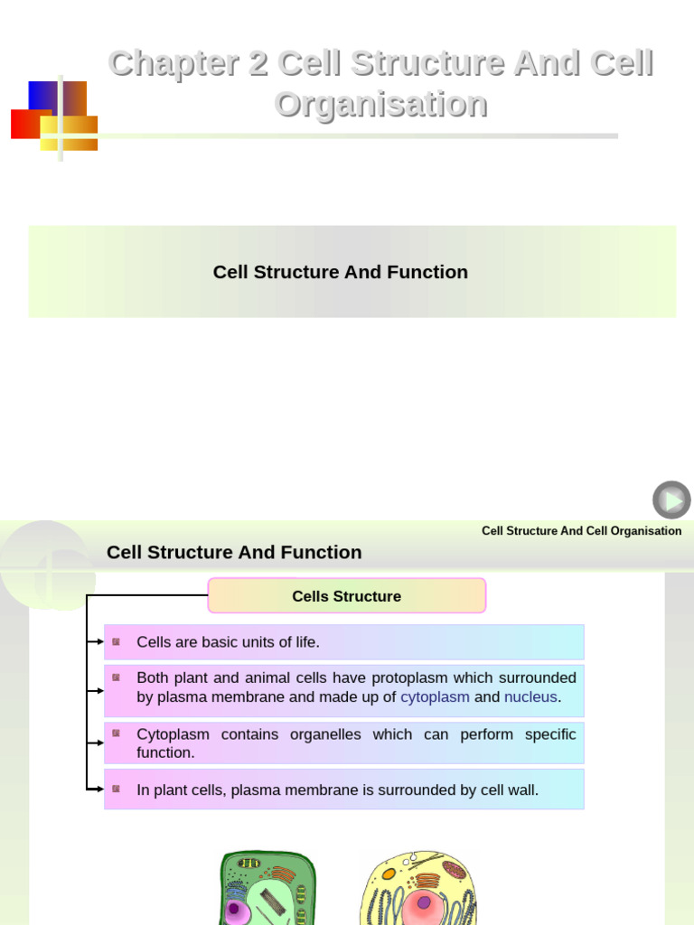 Cell Structure and Cell Organization and Function | PDF | Tissue ...