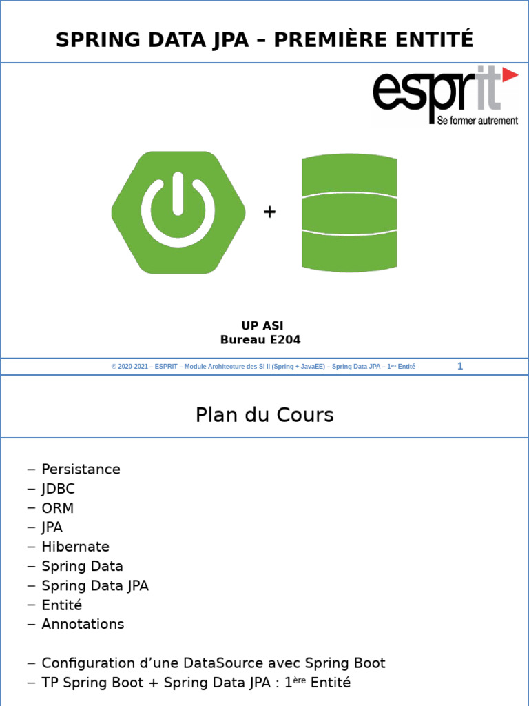 Introduction à Spring Data JPA | PDF | Développement de logiciel | Design de logiciel