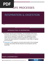 Life Processes Class 10th | PDF