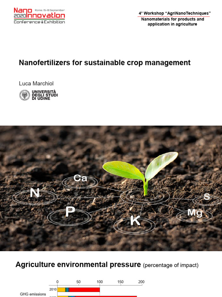 Nanofertilizers For Sustainable Crop Management | PDF | Leaf | Fertilizer