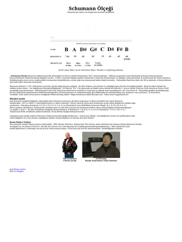 The Schumann Scale | PDF