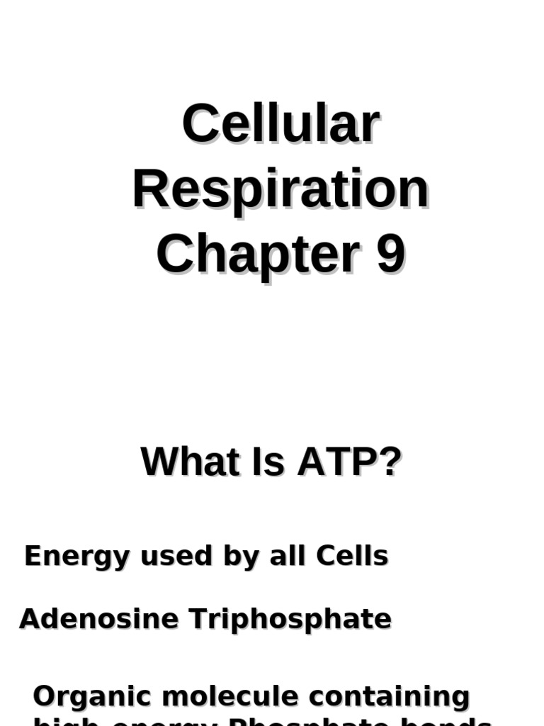 Cellular Respiration & ATP Guide | PDF | Cellular Respiration ...