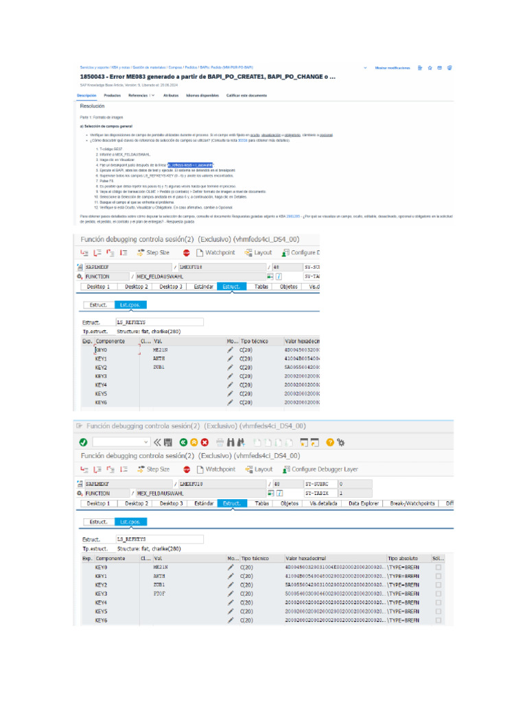 SAP Notes for IT Professionals | PDF