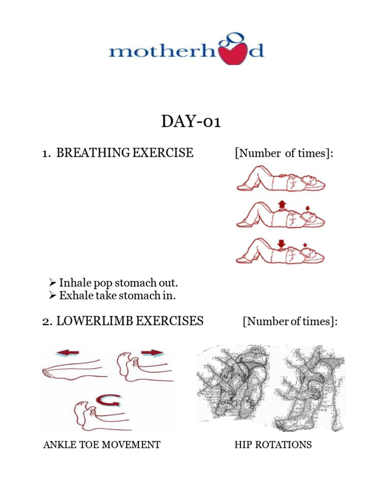 Postnatal Exercise Routine Guide | PDF