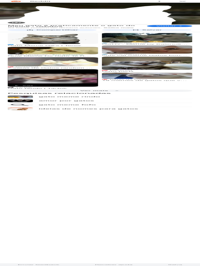 Gato Meme - Pesquisa Google | PDF