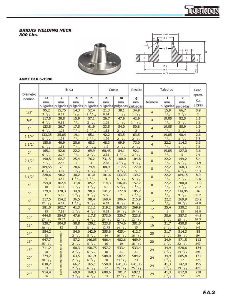Bridas Welding Neck 300lbs | PDF