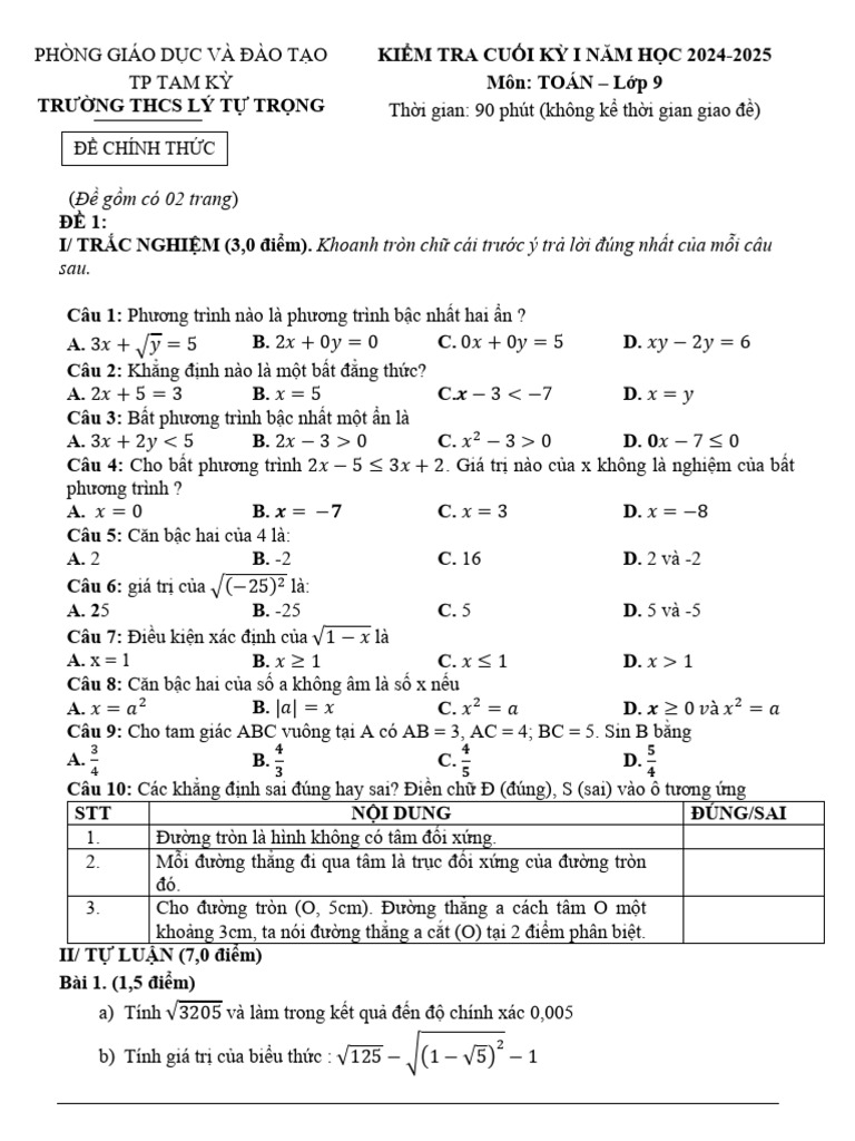 De Cuoi Ky 1 Toan 9 Nam 2024 2025 Truong Thcs Ly Tu Trong Quang Nam | PDF