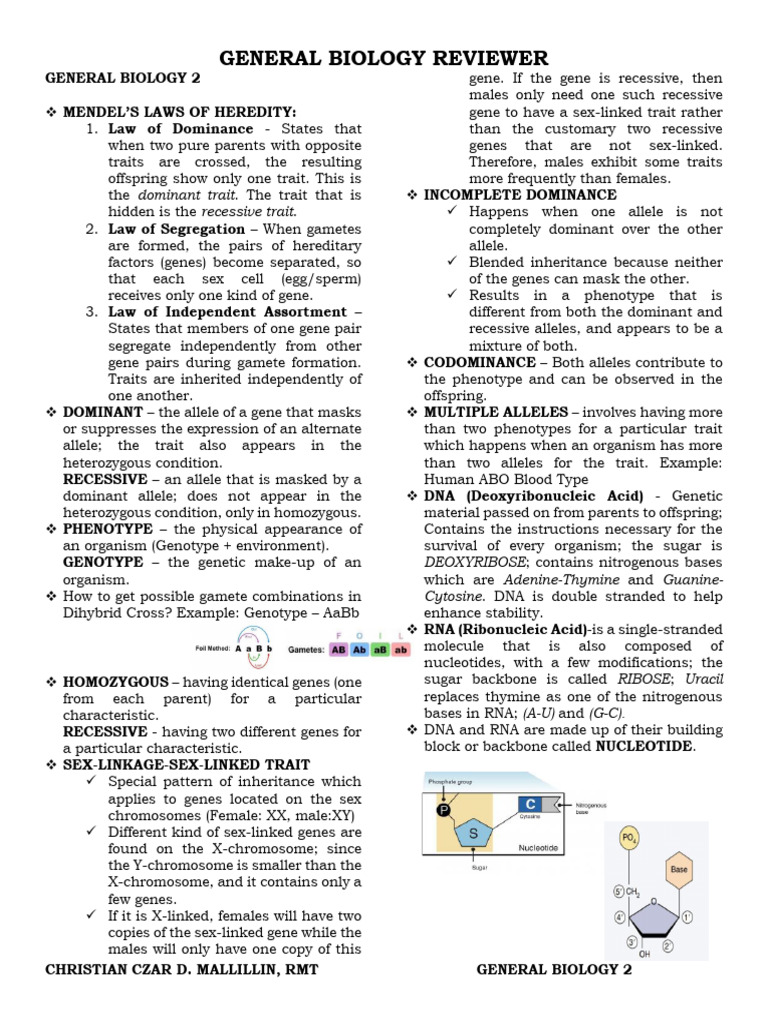 GEN-BIO-2-Q3-REVIEWER | PDF | Rna | Dna