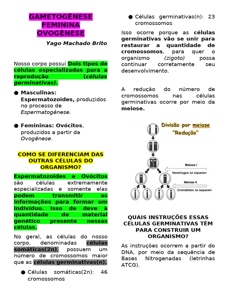Aula 01 - Gametogênese Feminina - Ovogênese | PDF | Ovário | Sistema ...