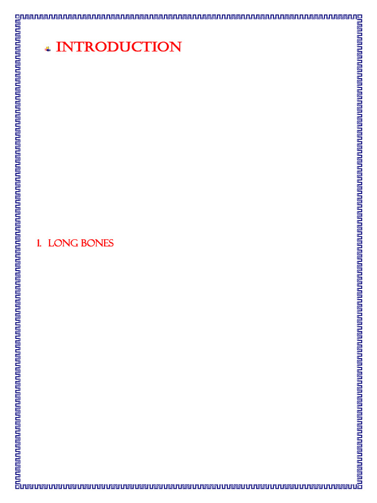 Bones Their Functions Types | PDF | Bone | Musculoskeletal System