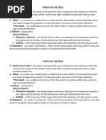 Function and Role of Plumule in Seeds | PDF | Seedling | Biology